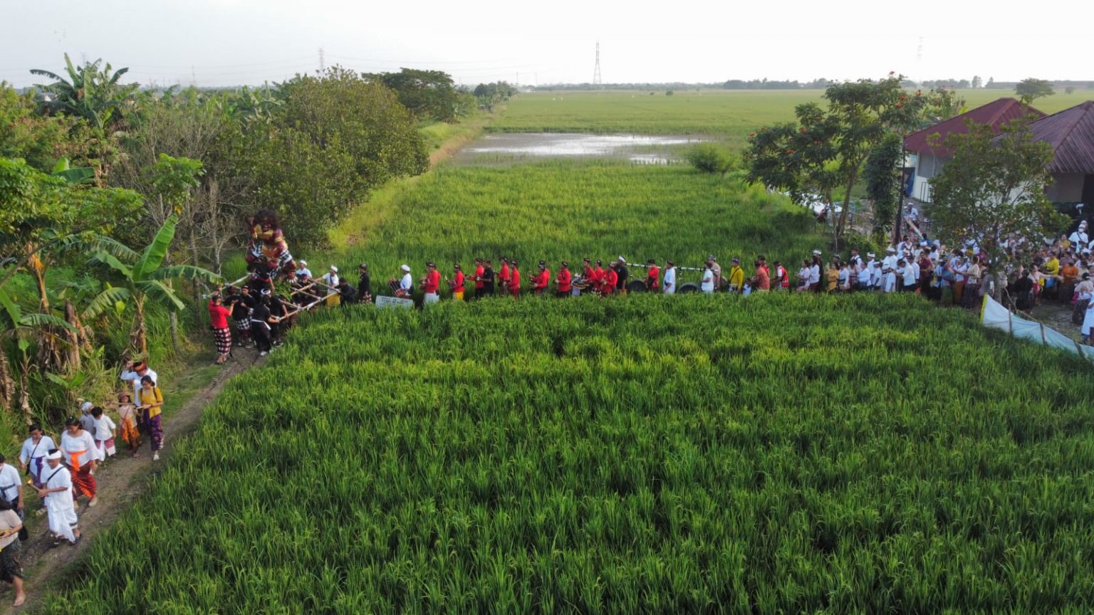 Simbol Hancurkan Bhuta Kala, Arak Ogoh-Ogoh Keliling Sawah di Kabupaten ...