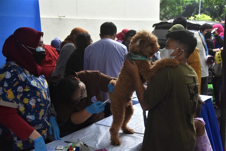 Kenali Gejala Rabies, Warga Bekasi Ramai-ramai Periksa Hewan Peliharaan ...